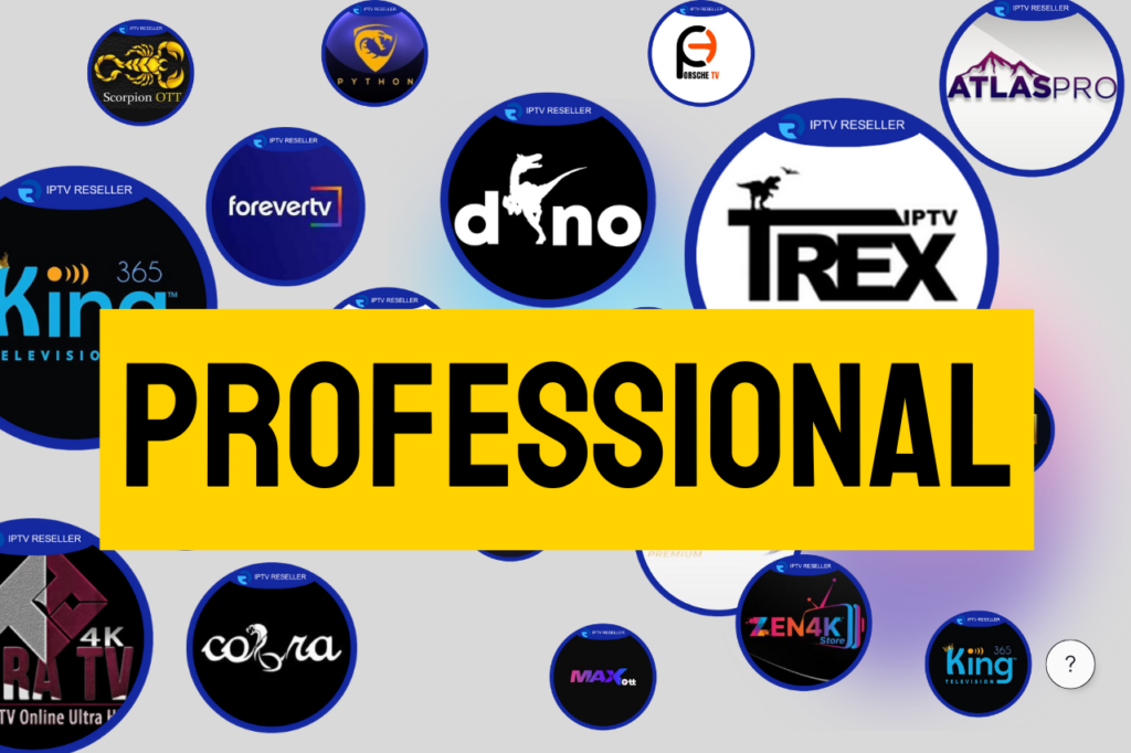 Professional Panel IPTV Servers Scalable Reseller Solutions